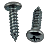 1967-1973 LICENSE LAMP LENS SCREWS, PAIR (AP)